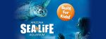 Celebrate World Oceans Day at SEA LIFE Arizona Aquarium June 8th! Get ...