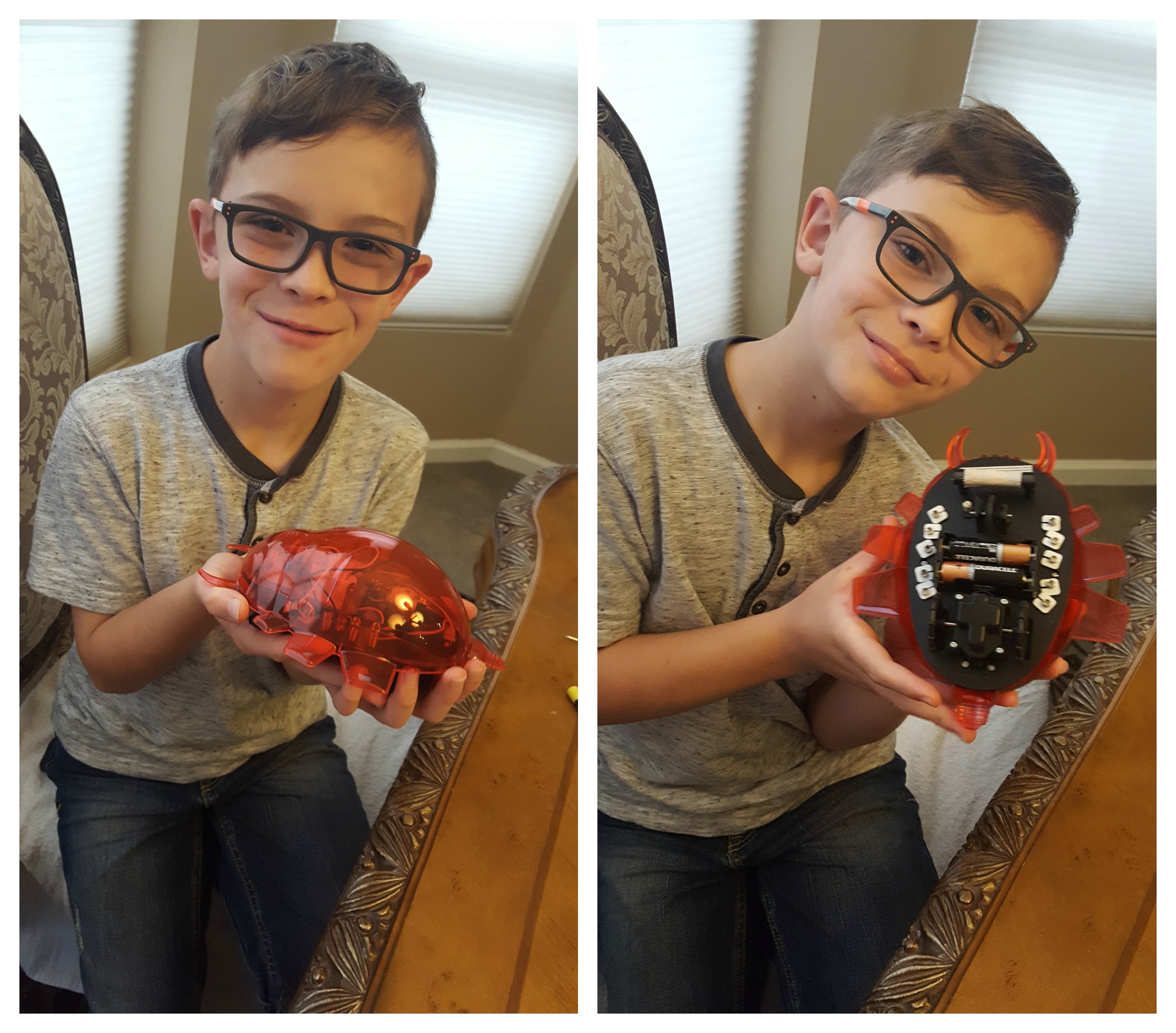 Kids Can Build Their Own Robot with The Young Scientists Club Funtastic ...