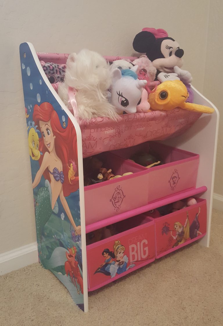 Delta Children Disney Princess Book and Toy Organizer Review - Bragging ...