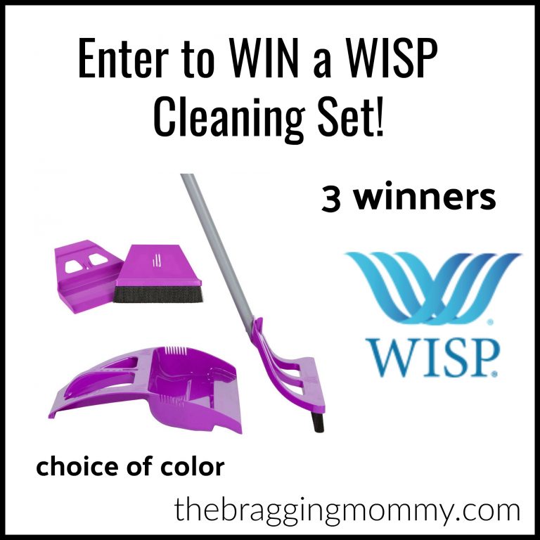 My New Favorite Broom! WISP Cleaning Set Review and Giveaway (3 win!) # ...