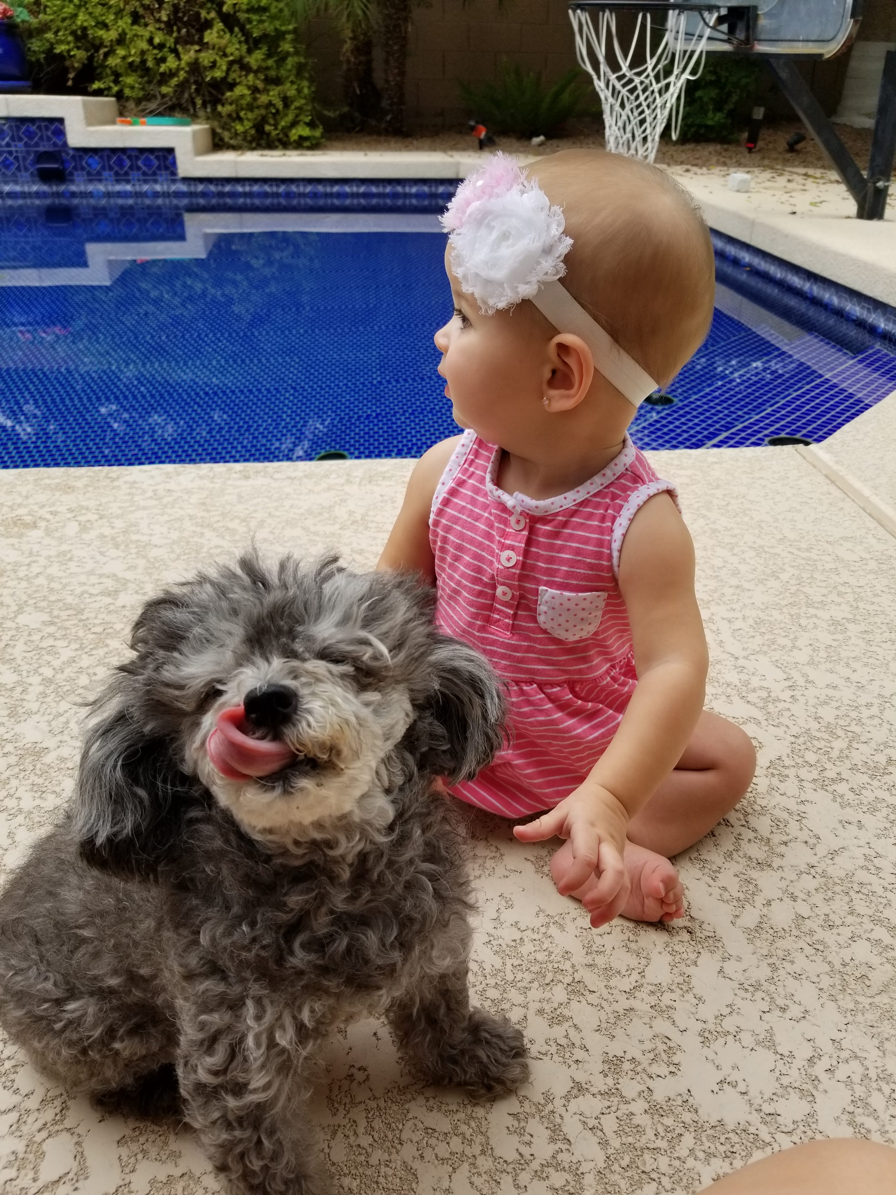 Dogs Really Are a Human's Best Friend #DogsAreMore - Bragging Mommy