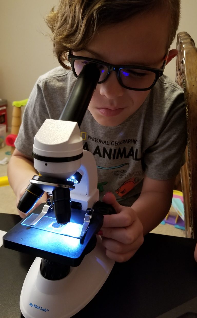 {Brag Worthy Christmas} My First Lab Duo-Scope & Smartphone Inspector ...