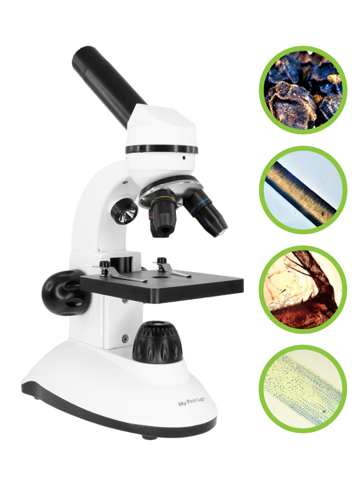 {Brag Worthy Christmas} My First Lab Duo-Scope & Smartphone Inspector ...