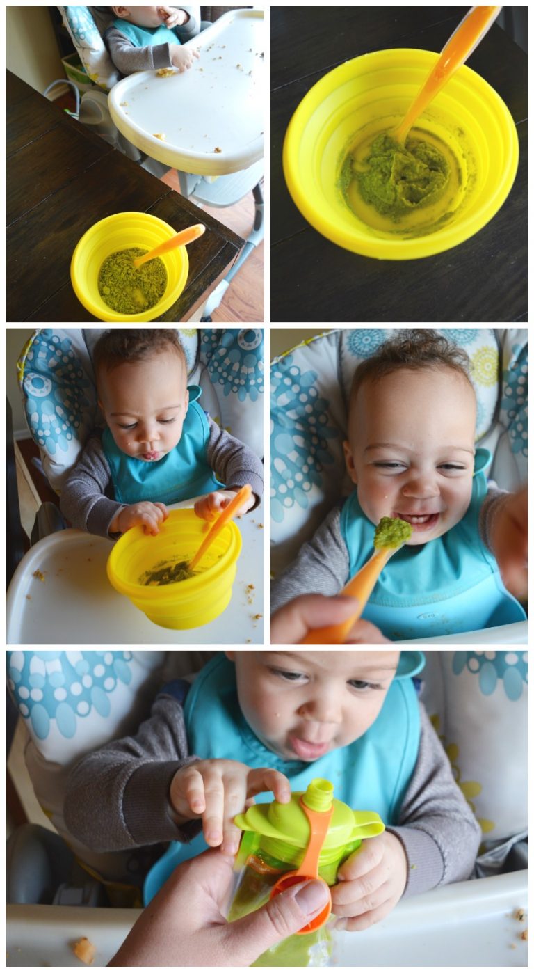 Homemade and Blessed Organic Freeze Dried Baby Food Review and Discount ...