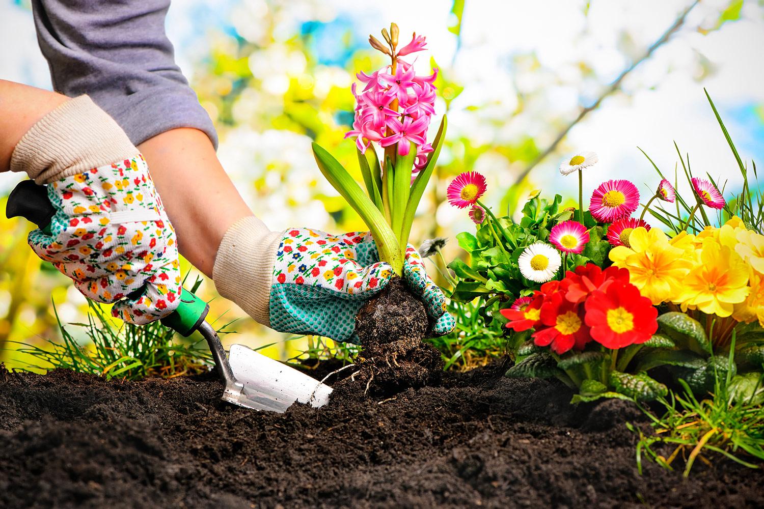 5 Simple Things to Do Now to Plan for a Better Garden Next Spring ...