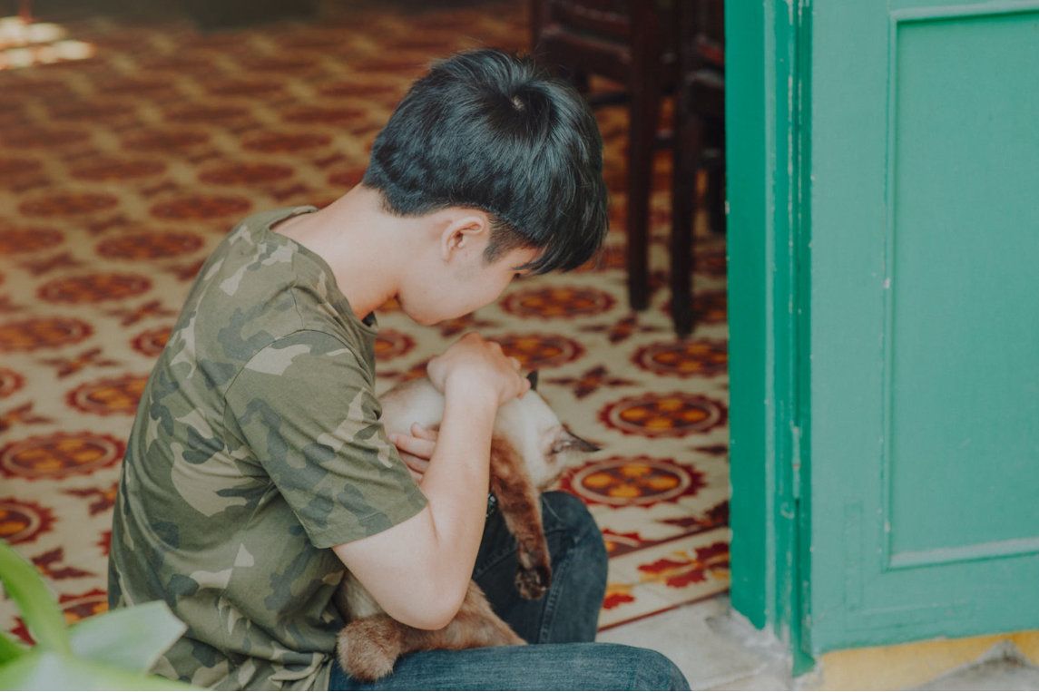 Tips for Introducing a New Cat to Kids - Bragging Mommy