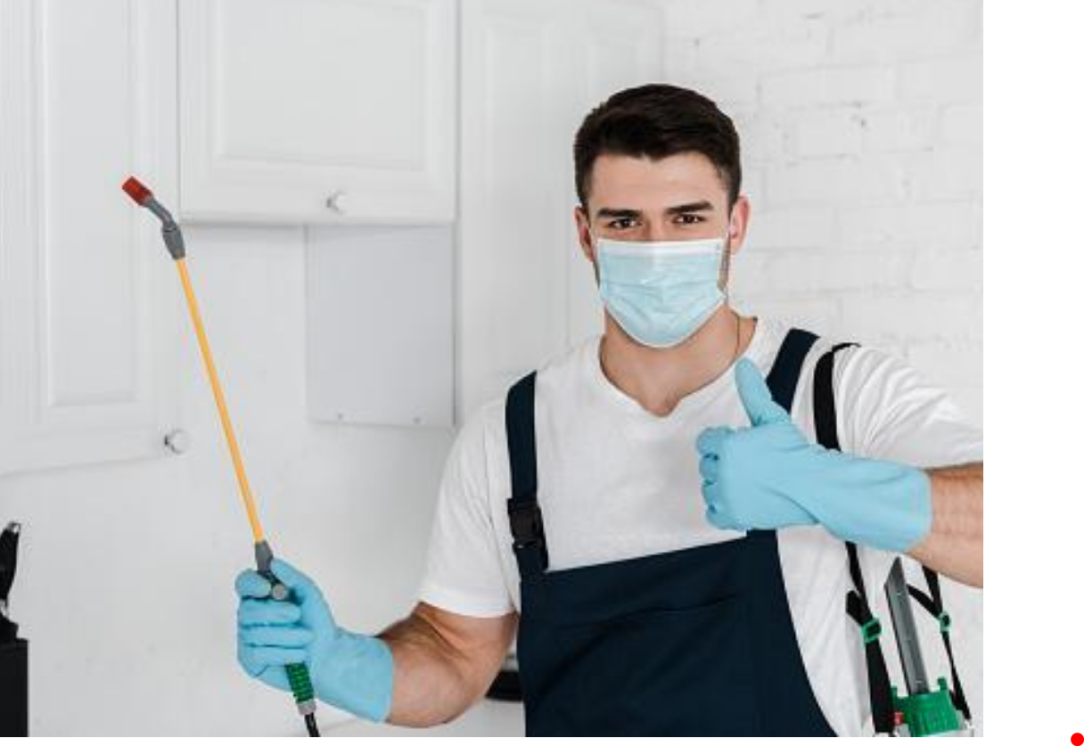 How to choose the right bed bug exterminator - Bragging Mommy