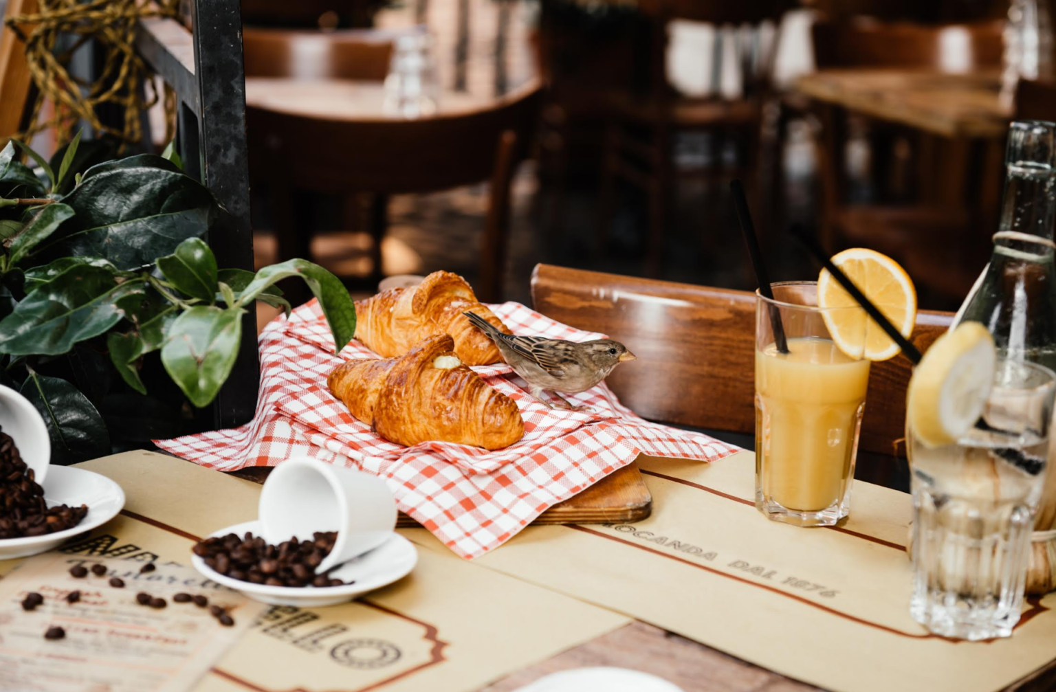 Managing Incontinence - Food, And Drinks To Avoid - Bragging Mommy