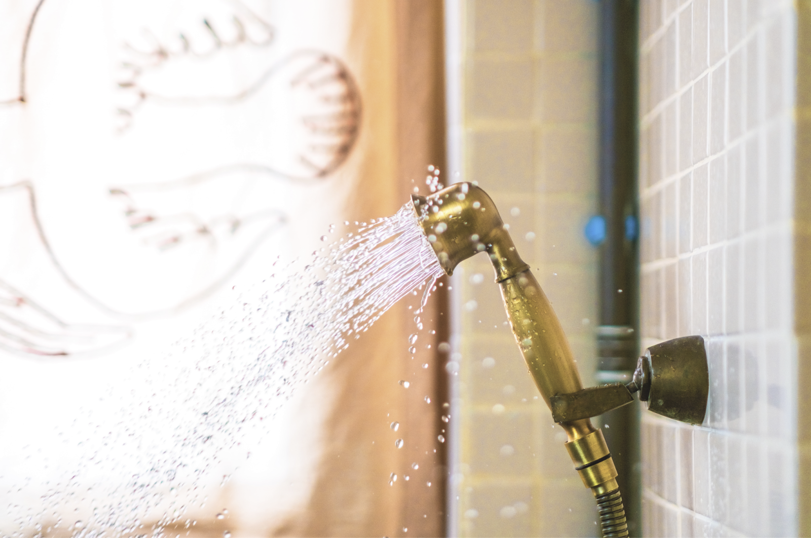 The Ultimate Guide to Shower Filters – Clear Away Chlorine and Other ...