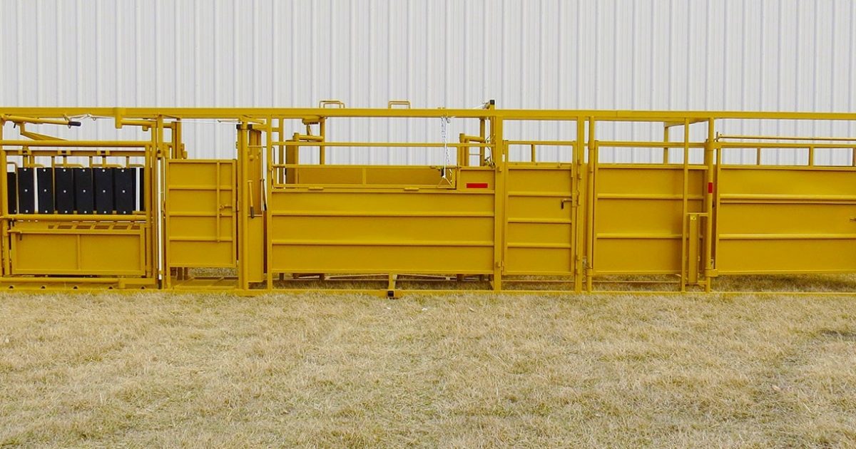 How to Choose the Right Equipment for Your Livestock: A Complete Guide ...