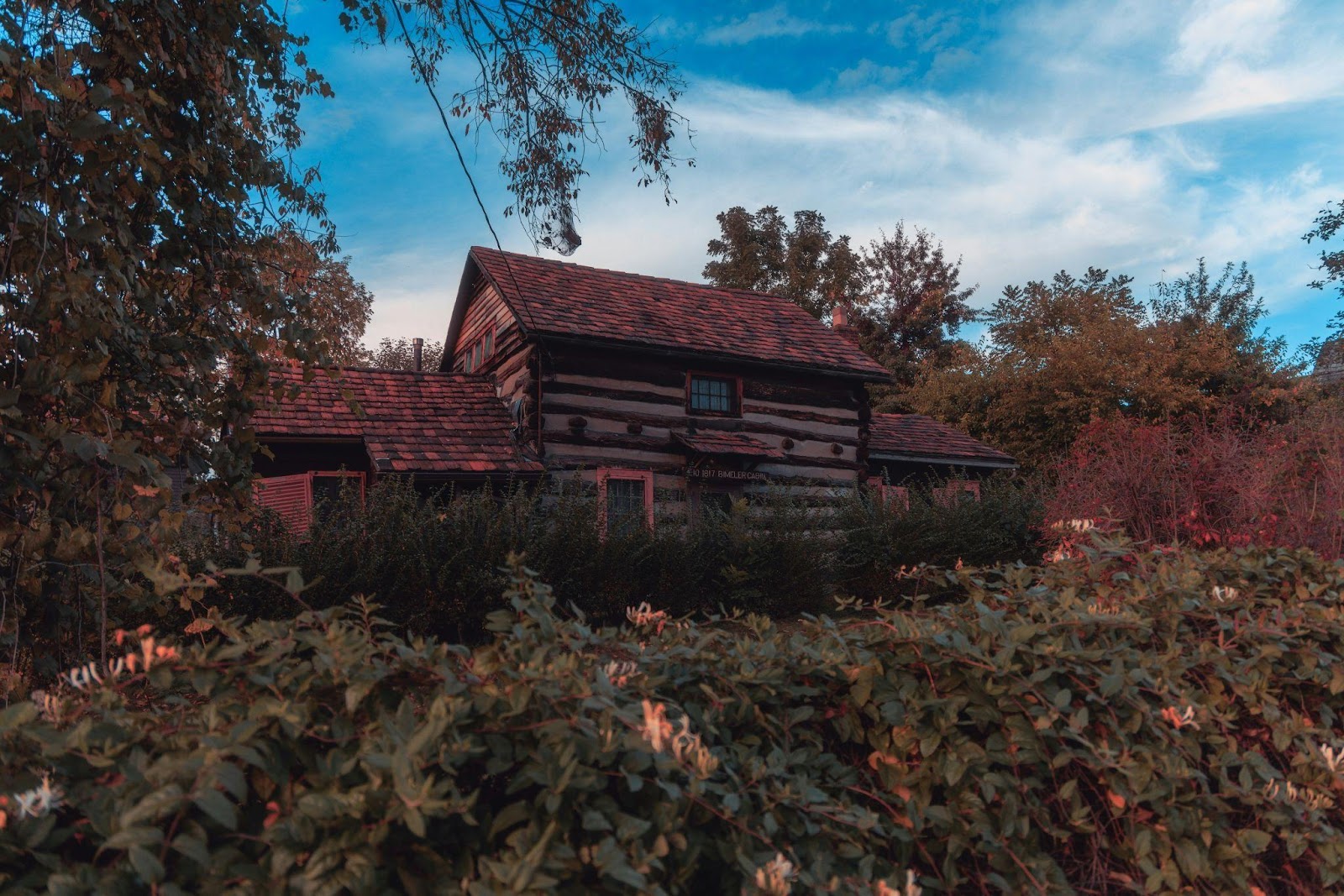 Custom Log Cabin Plans and Blueprints for Your Dream Log Home Kit ...