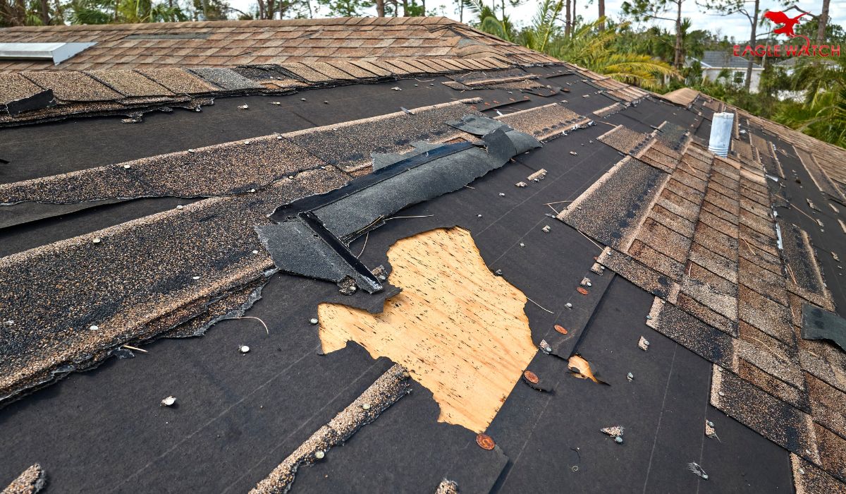 Is Your Roof Letting Pests In? Key Signs and Solutions - Bragging Mommy