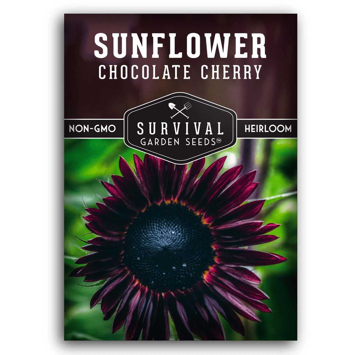 The Top Store for High-Quality Garden Seeds - Bragging Mommy