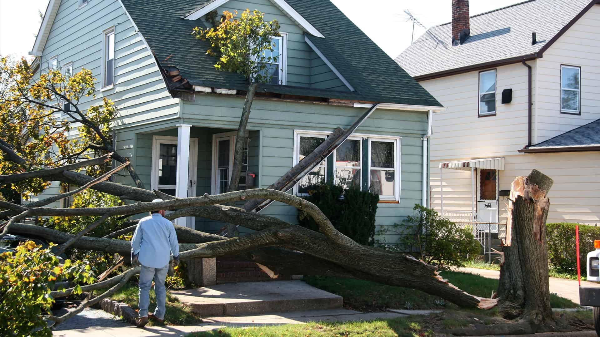 What to Expect After Property Damage: A Day-by-Day Recovery Timeline ...