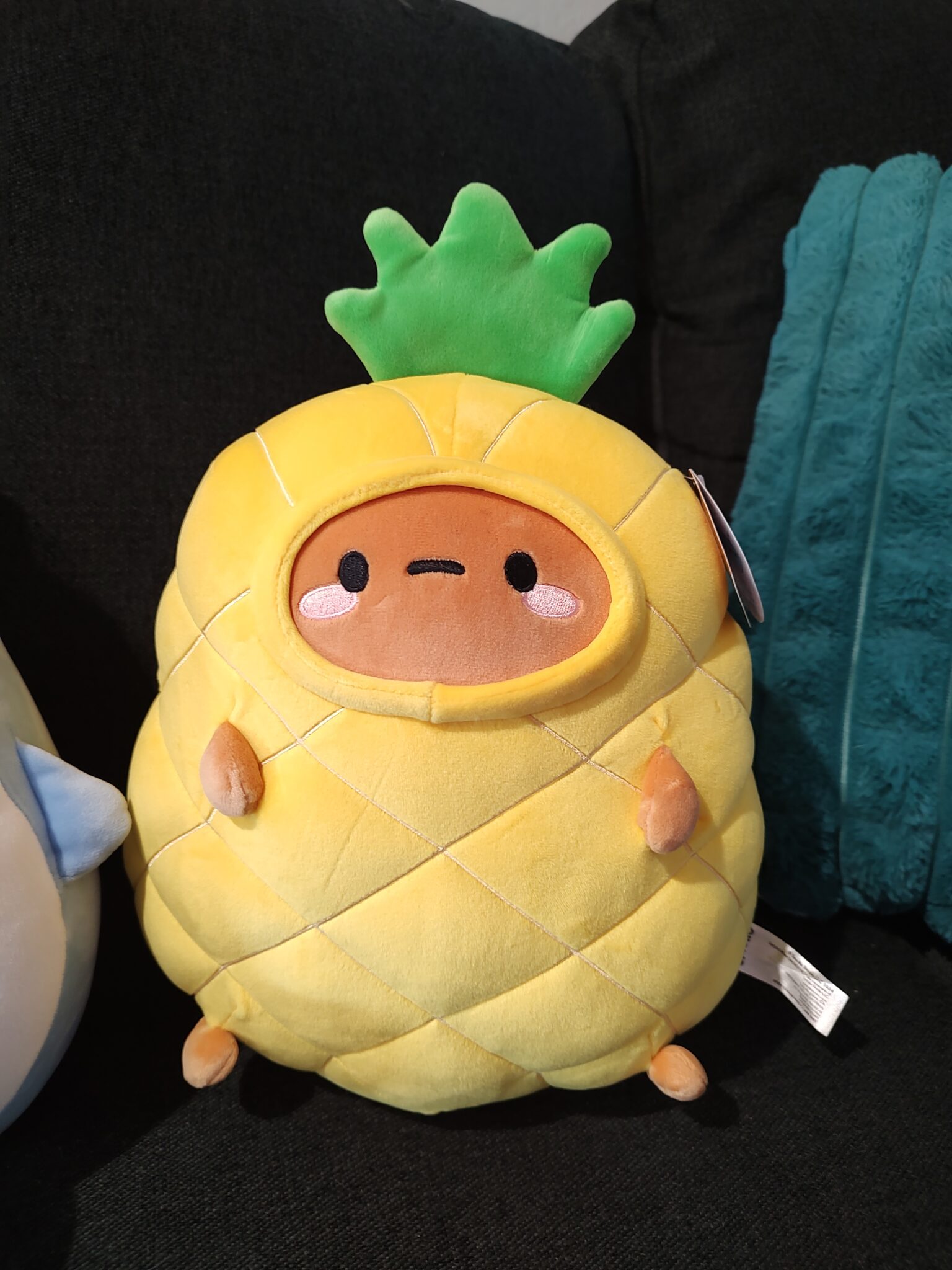 These Smoko Tayto Potato Deluxe Plushies are Amazing Quality and Just ...